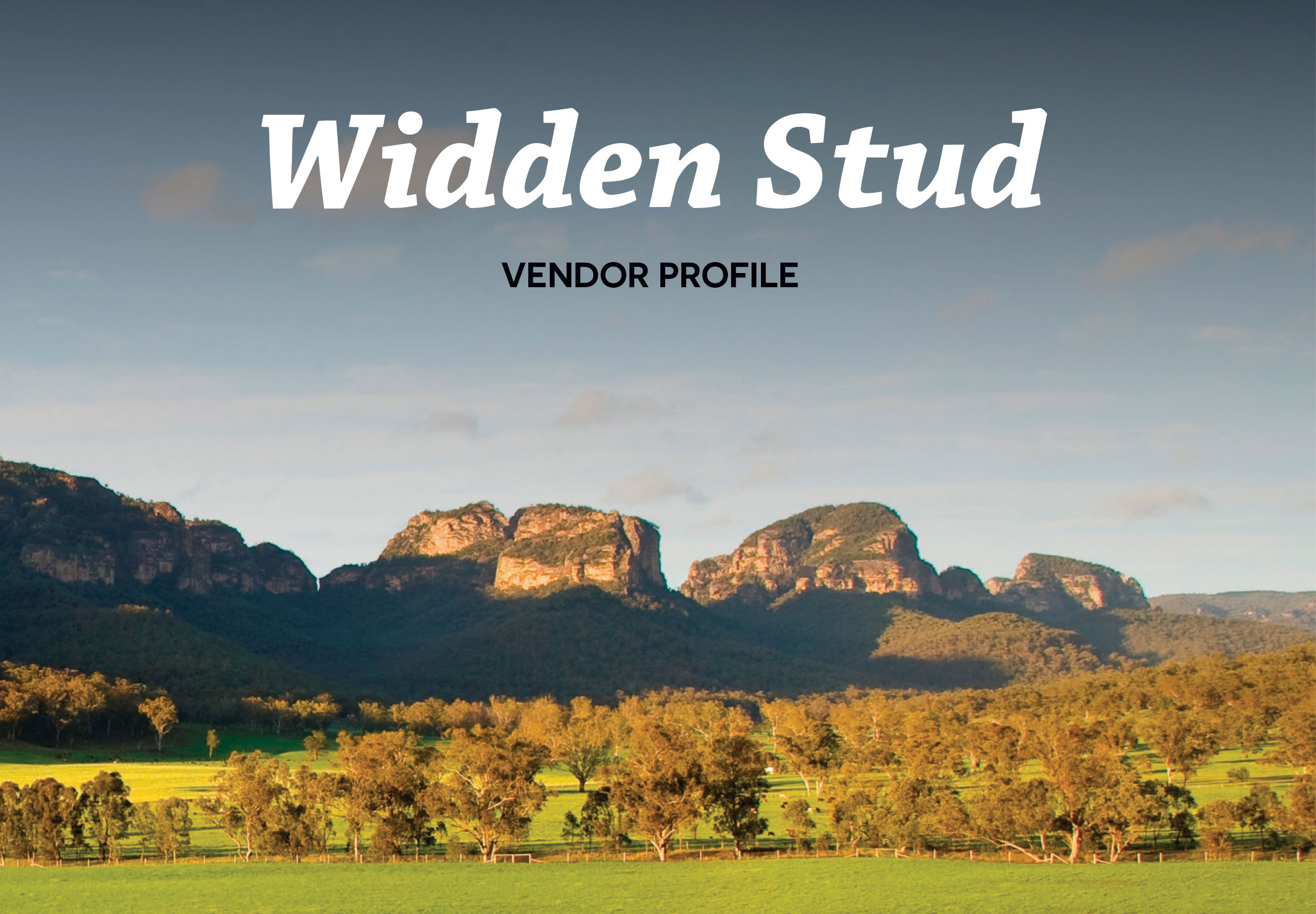 Vendor Profile: 2018 Magic Millions Yearling Sale - Widden Stud