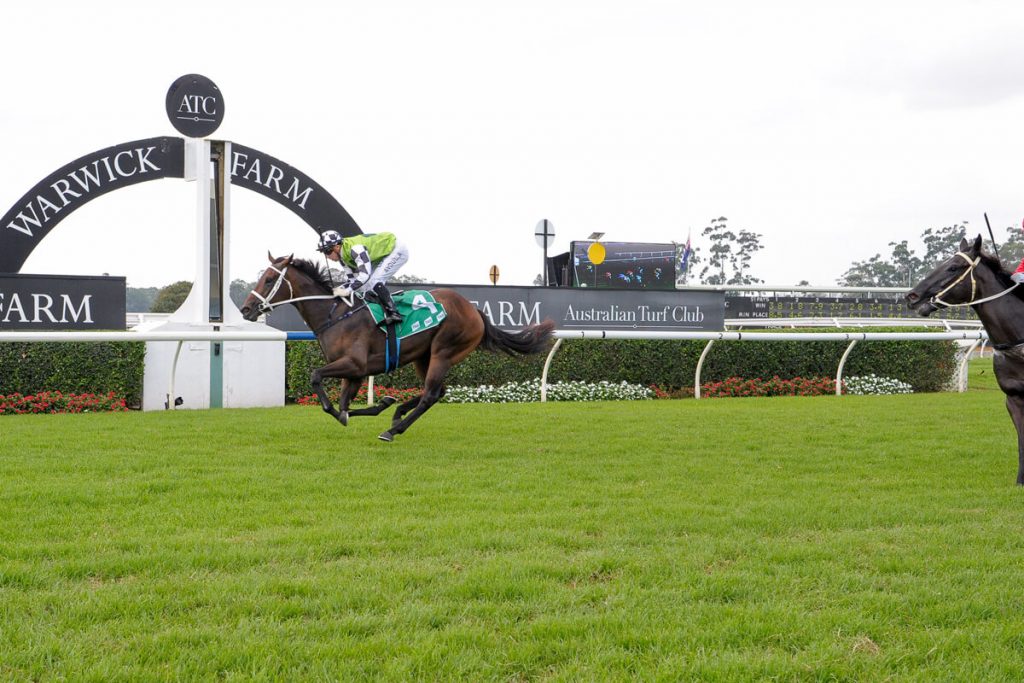 Zoustar - Widden Stud