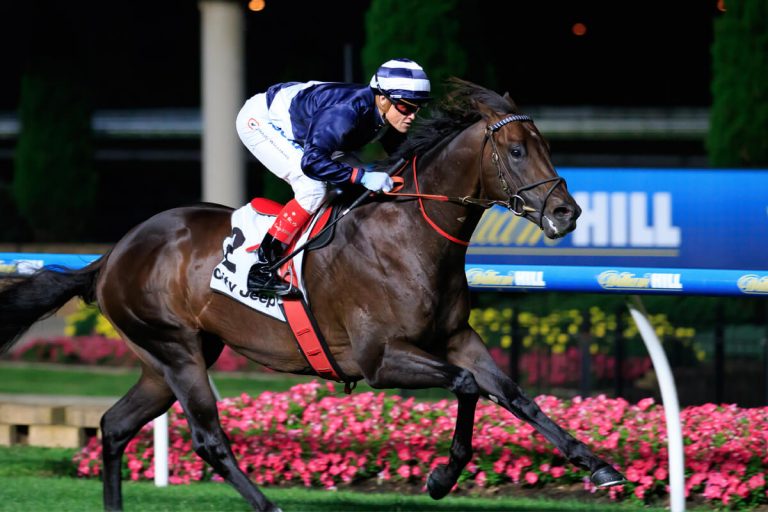 Sebring - Widden Stud