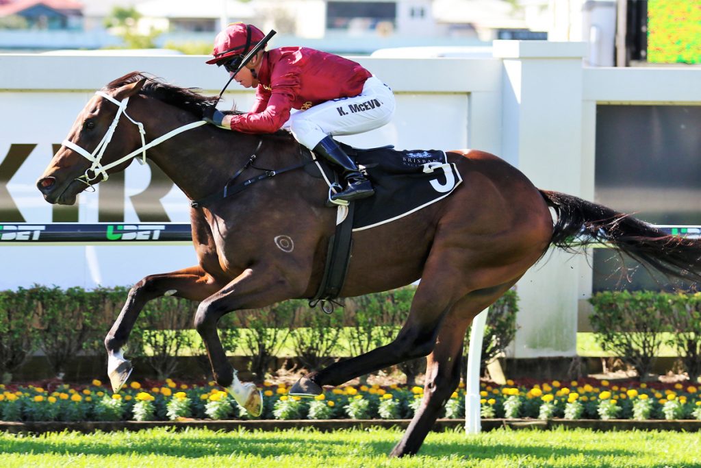 Zoustar - Widden Stud