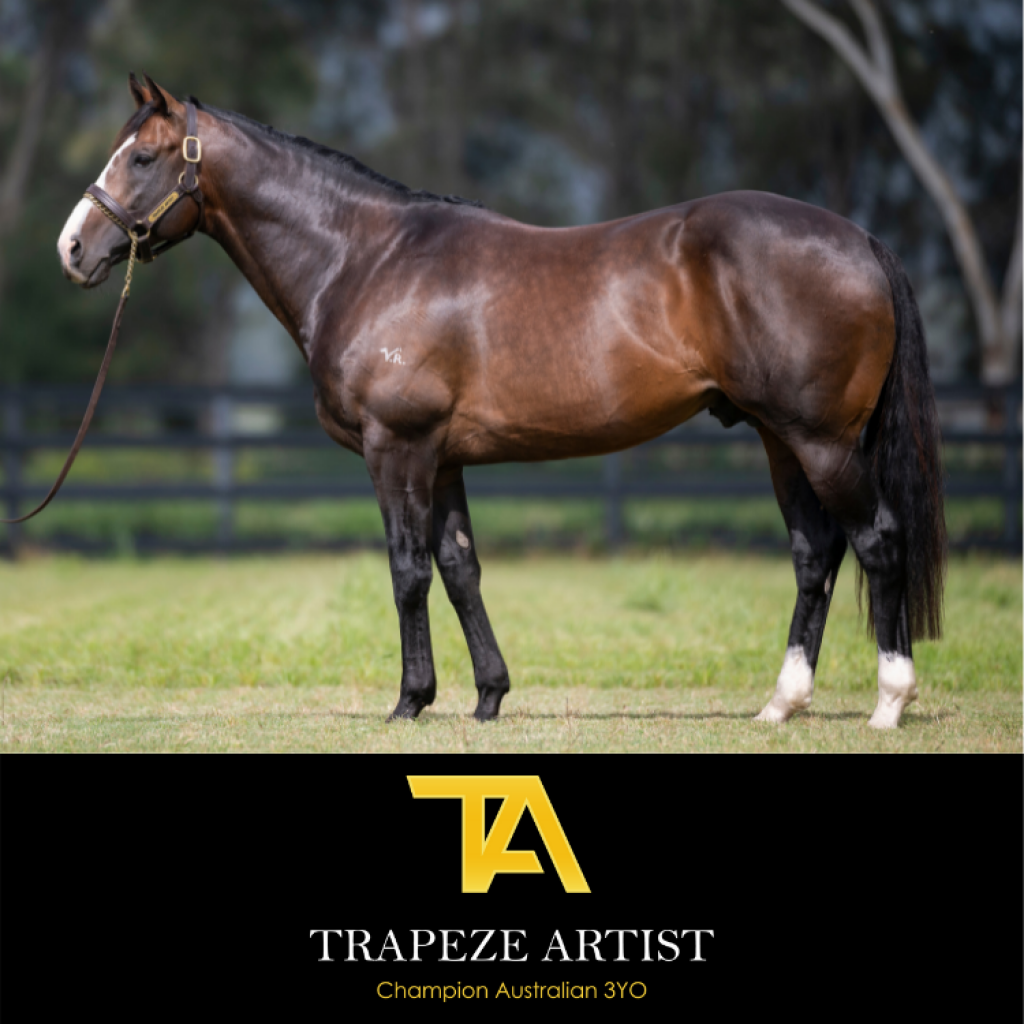 Widden Stud - Stallions