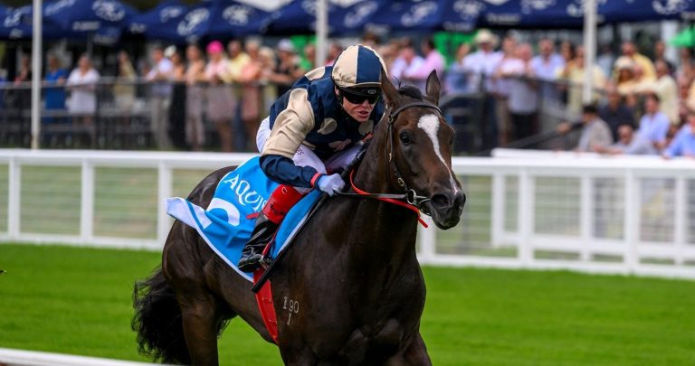 Trapeze Artist - Widden Stud