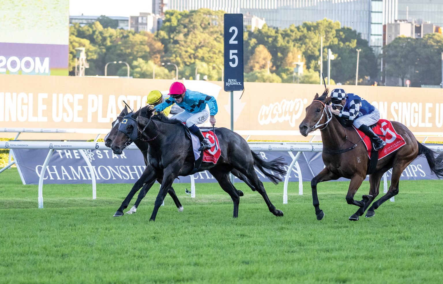 Trapeze Artist - Widden Stud