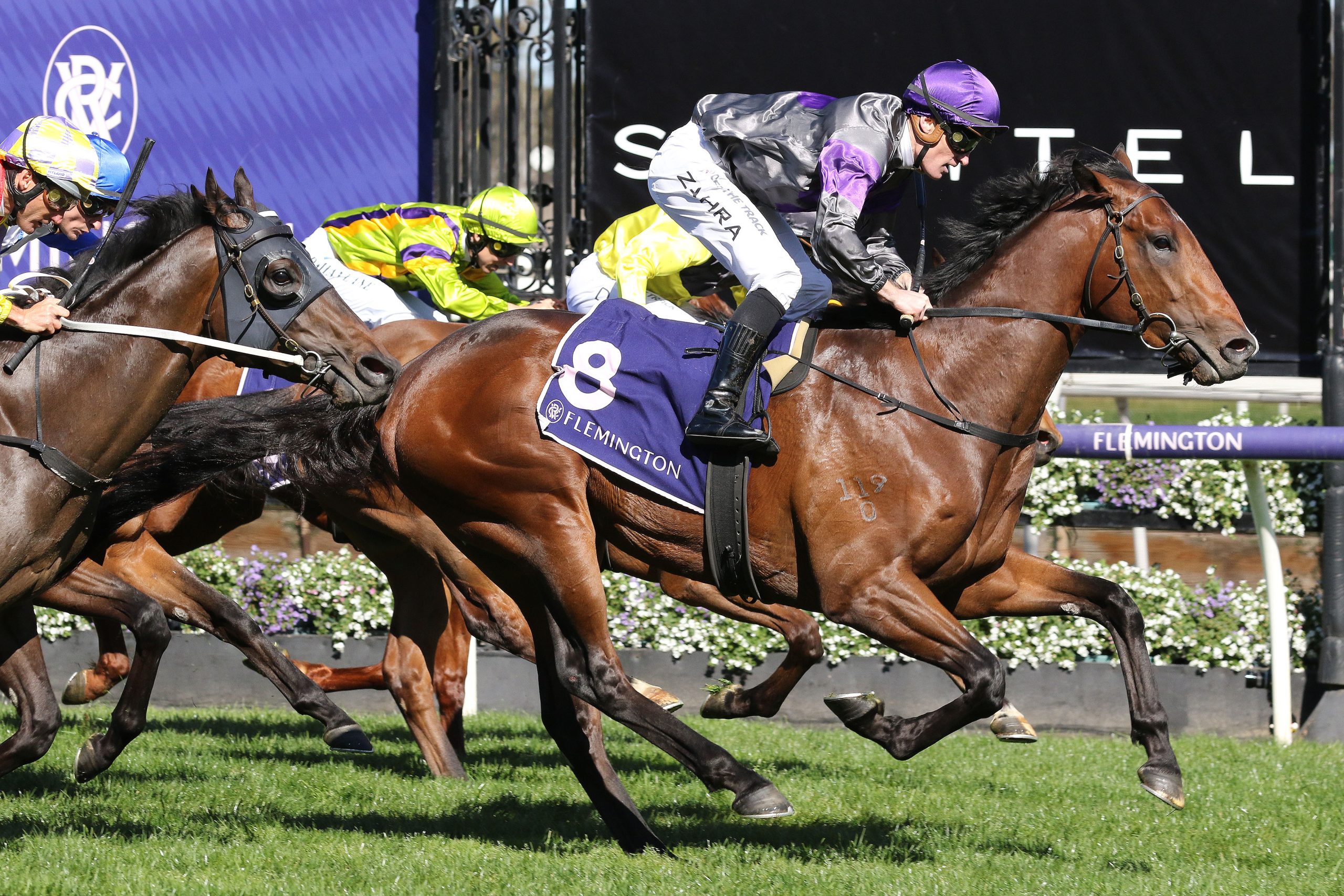 Trapeze Artist - Widden Stud