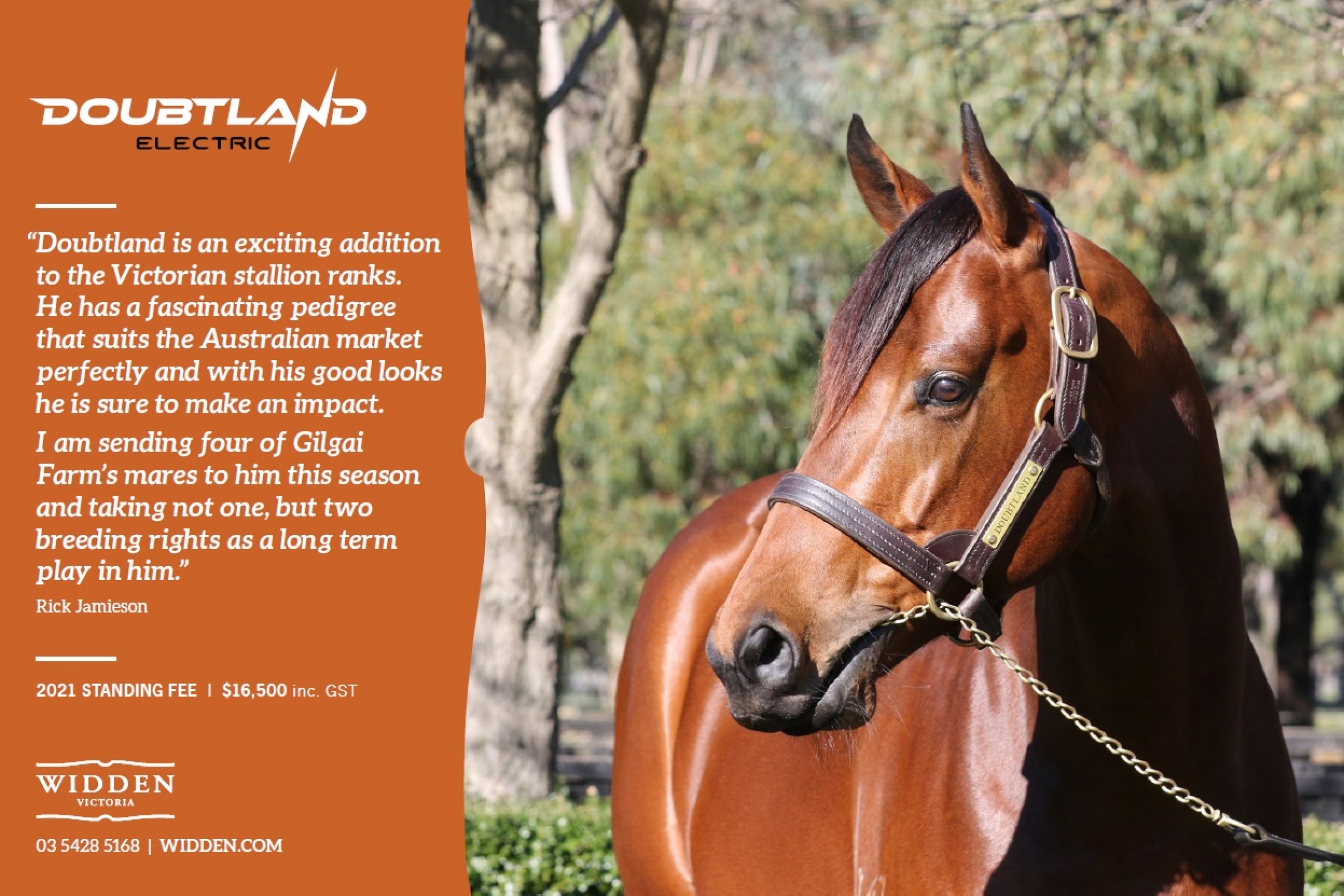 Doubtland - Widden Stud