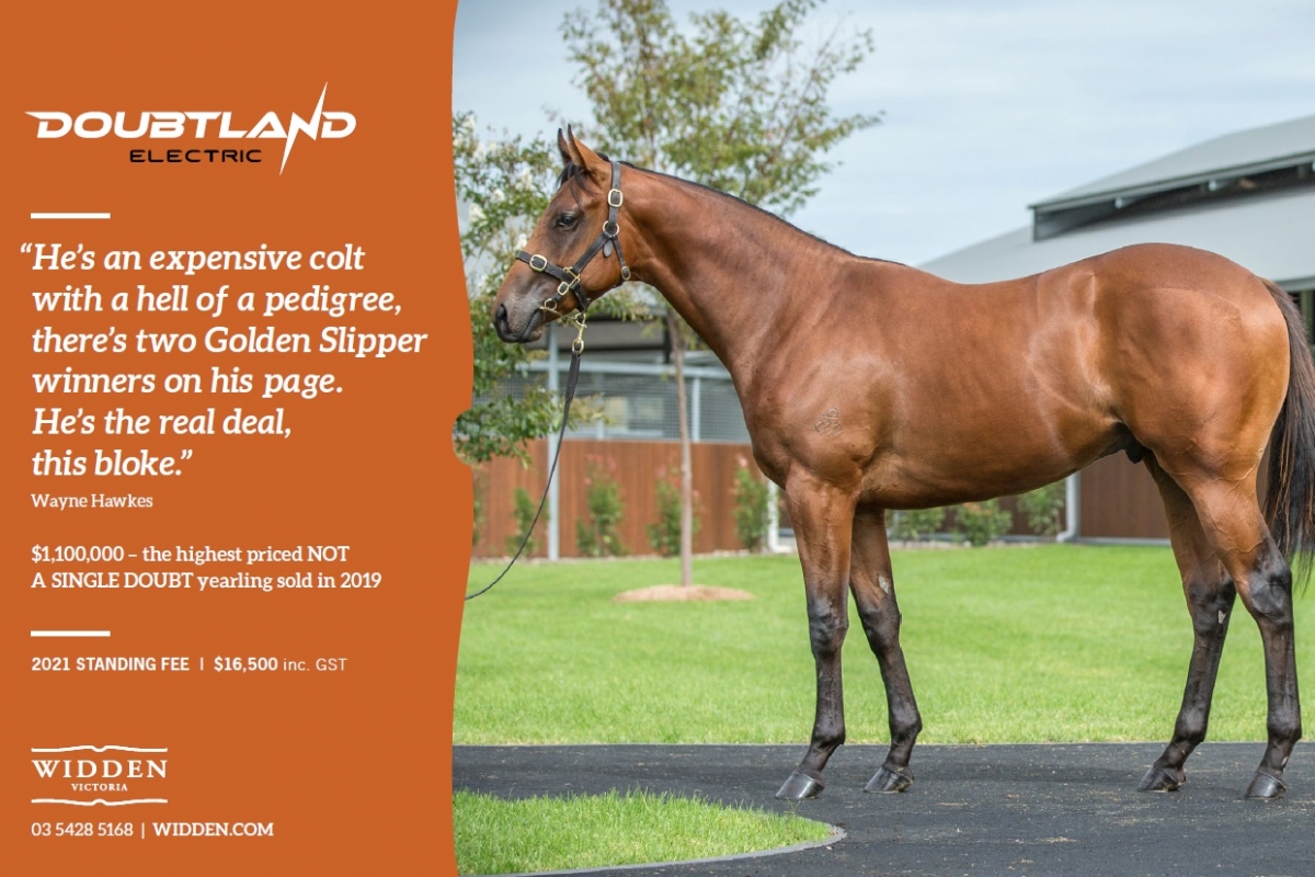 Doubtland - Widden Stud