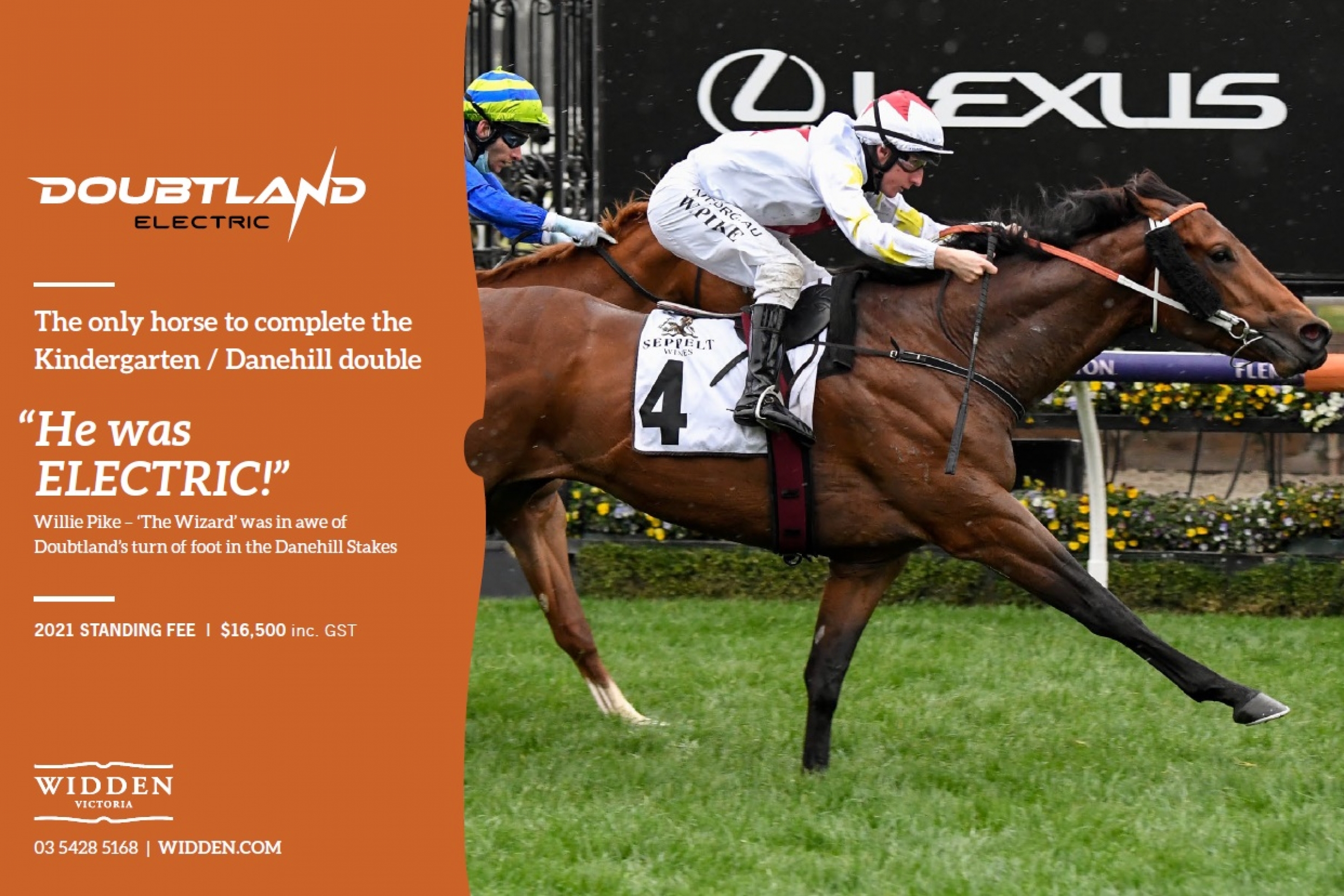 Doubtland - Widden Stud