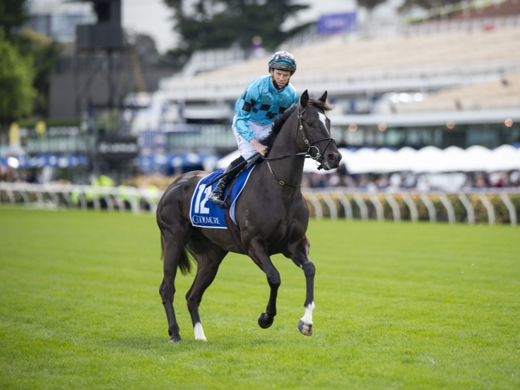 Bruckner - Widden Stud