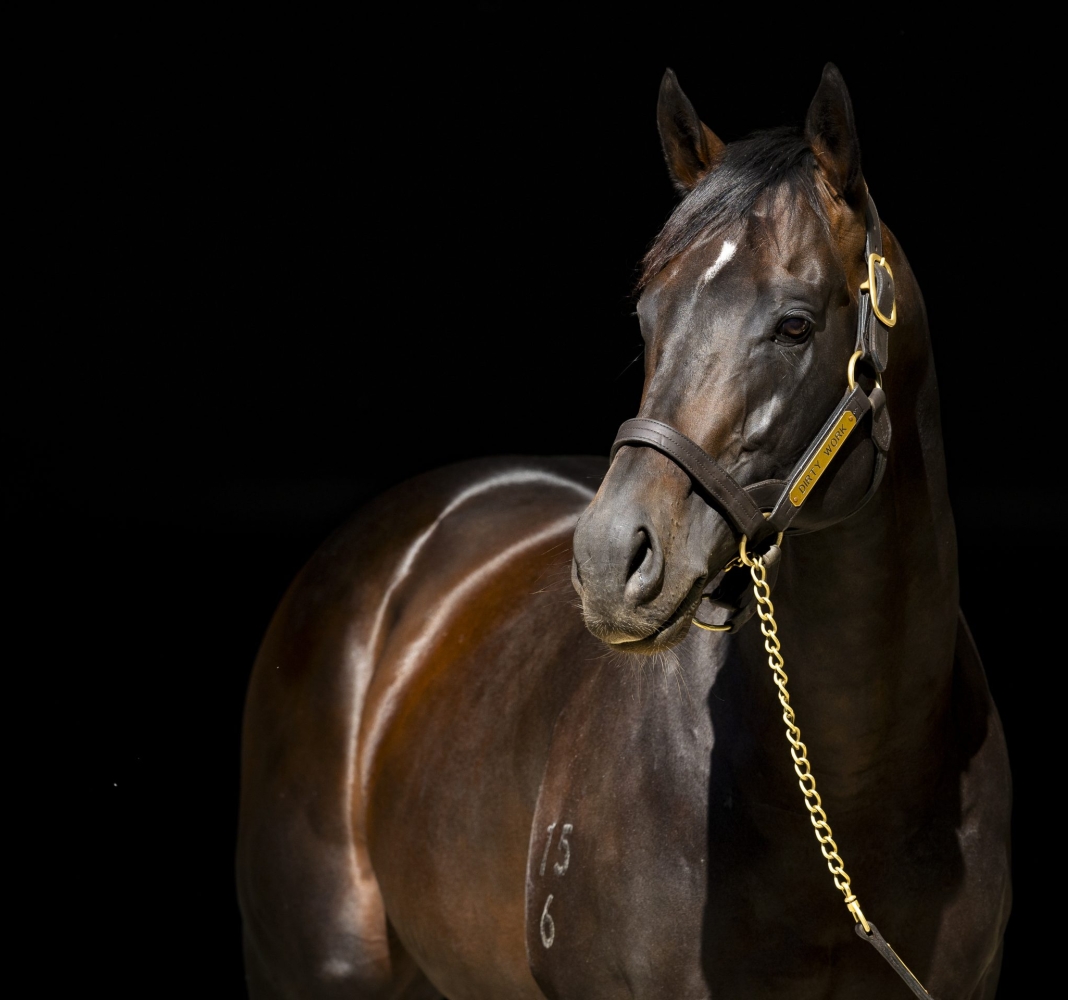 Dirty Work - Widden Stud