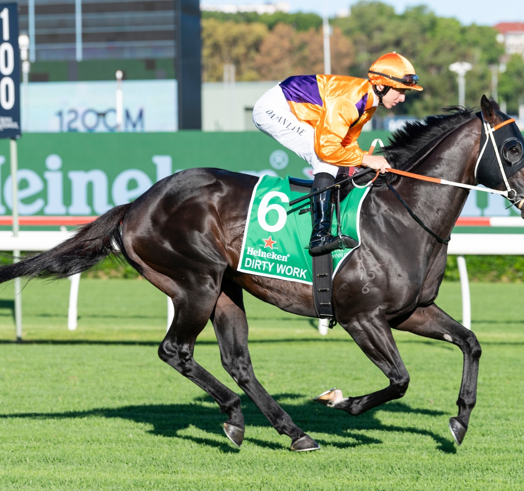 Dirty Work - Widden Stud