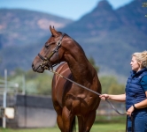 Widden Stud - Gallery