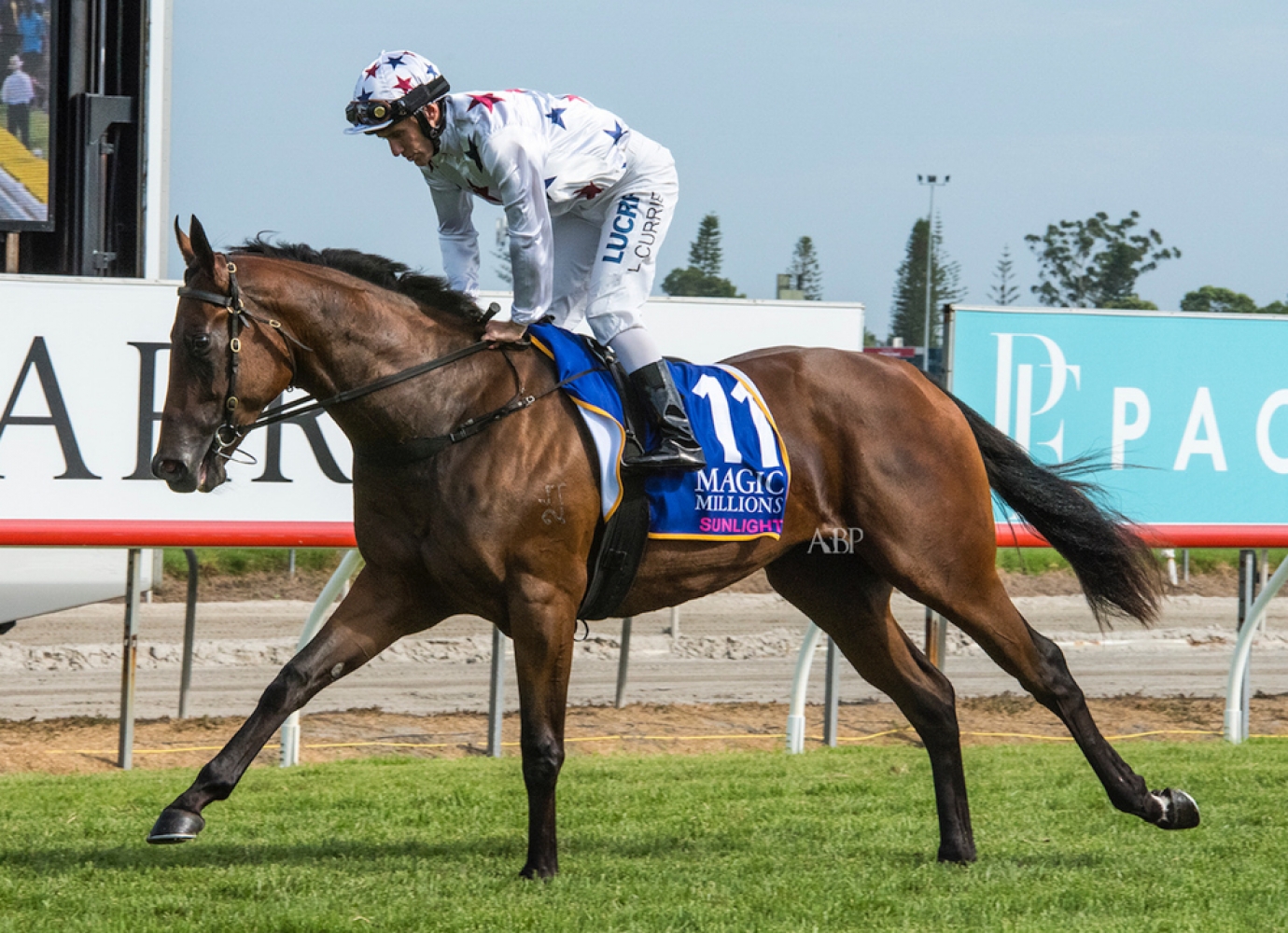 Zoustar - Widden Stud