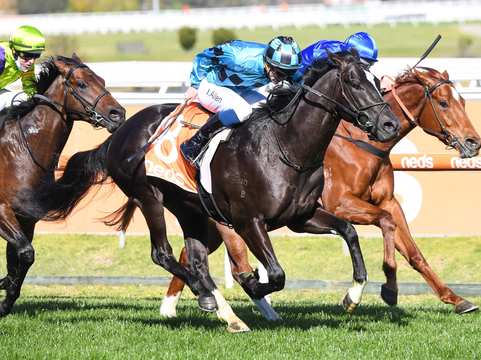 Bruckner - Widden Stud