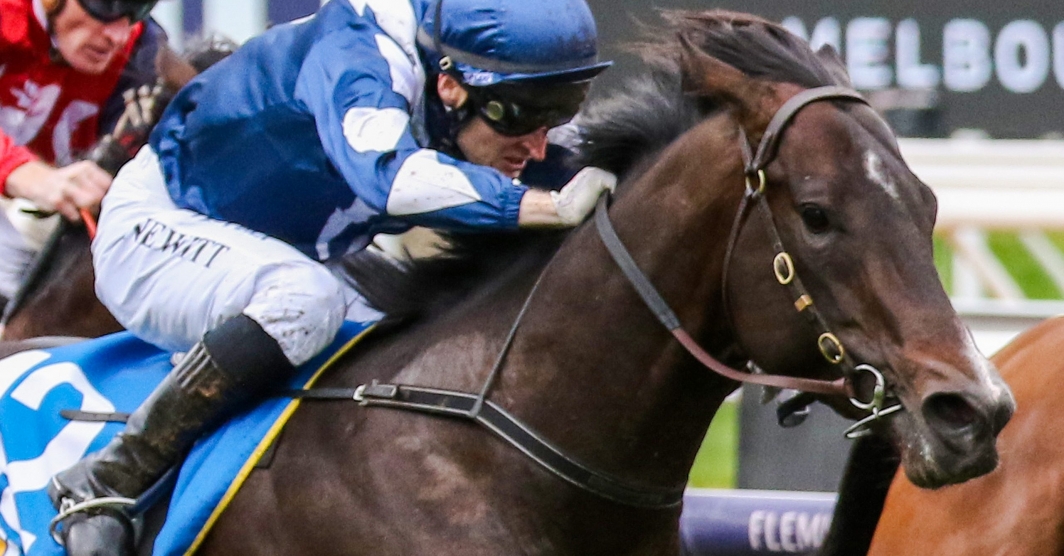 Supido - Widden Stud