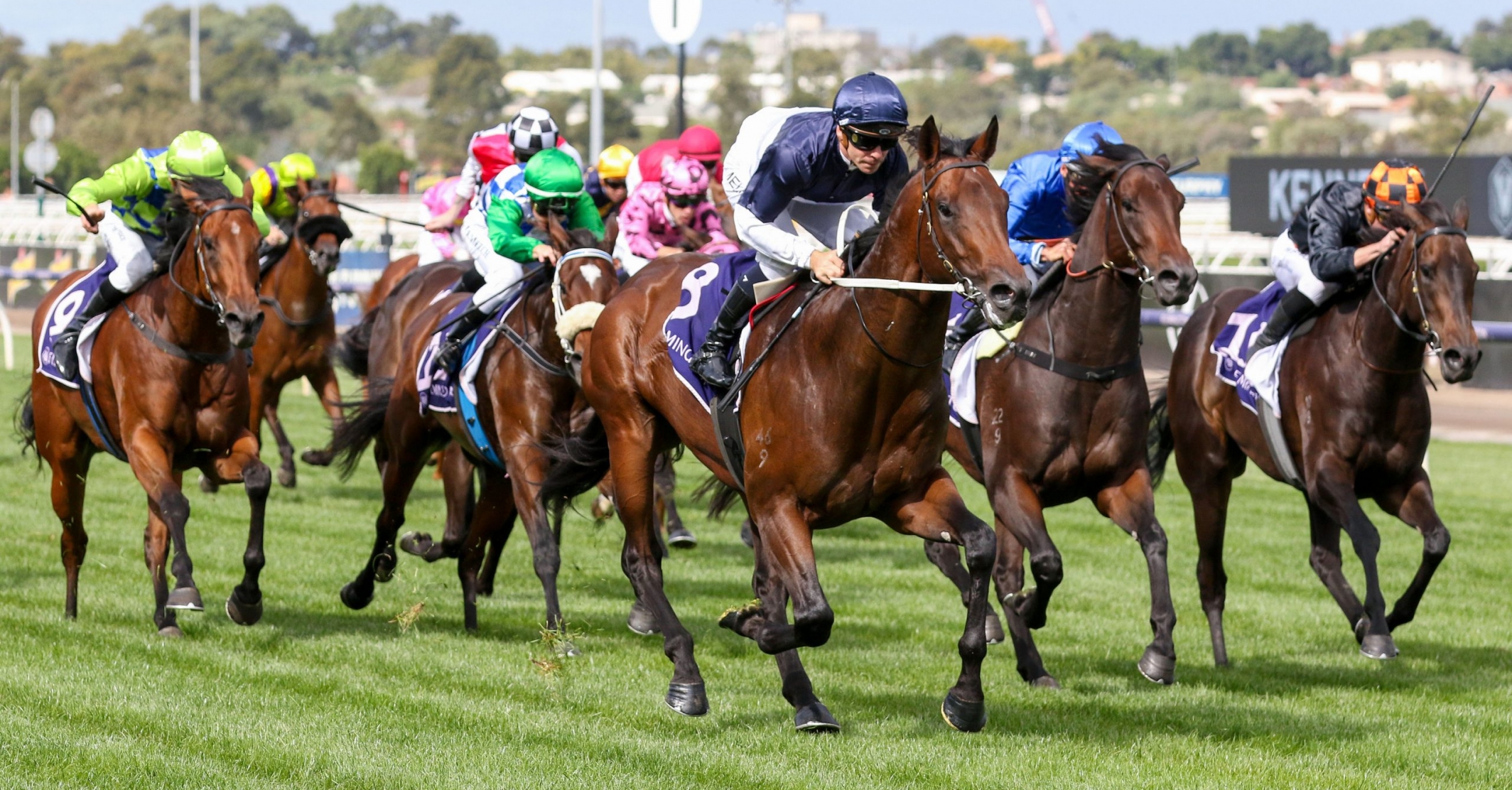 Supido - Widden Stud