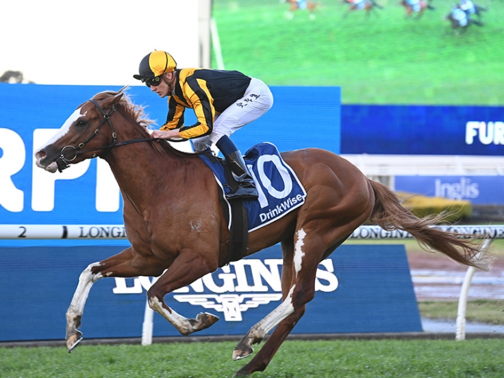 Sweet Ride - Widden Stud