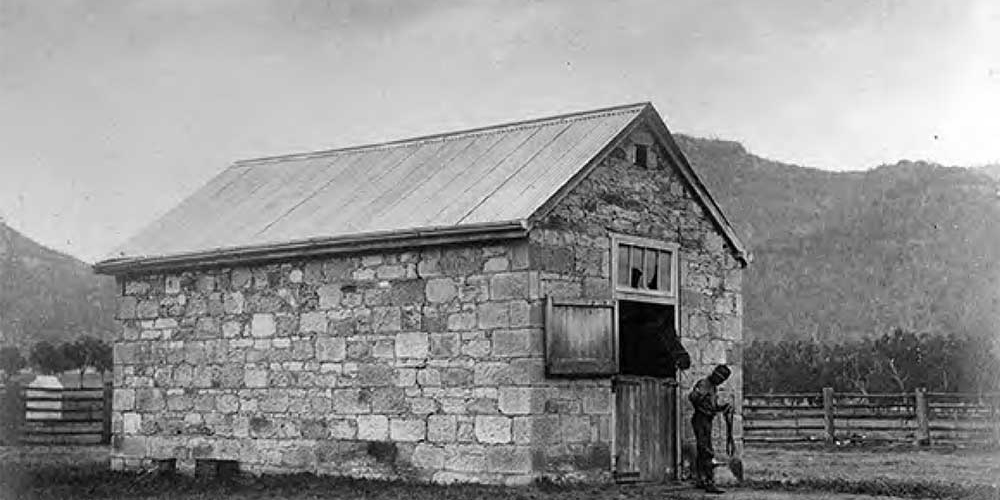 Widden Stud - History