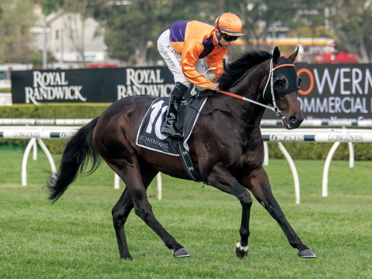 Dirty Work - Widden Stud