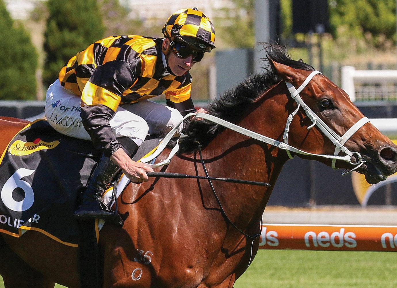 Zoustar - Widden Stud