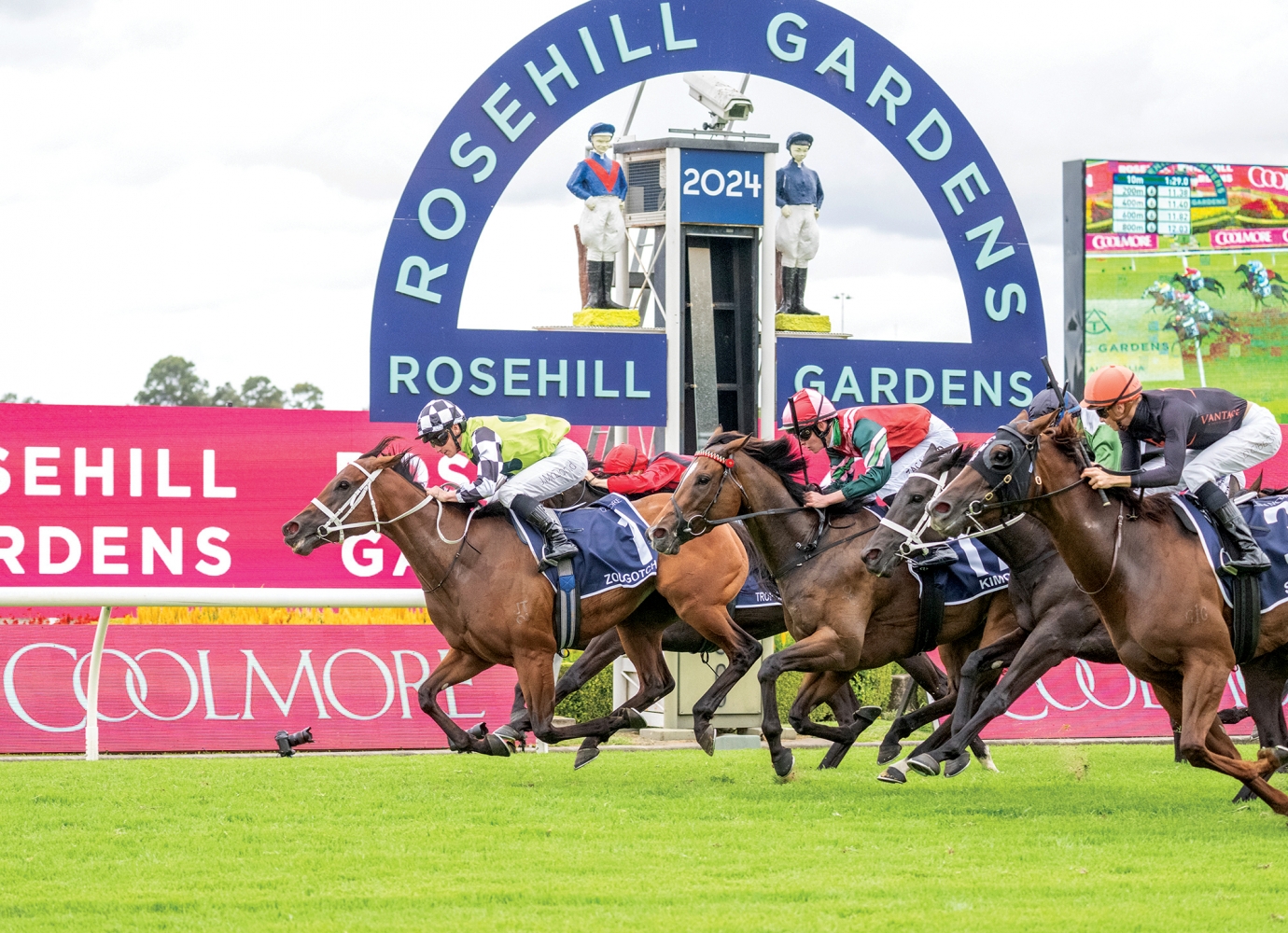 Zoustar - Widden Stud