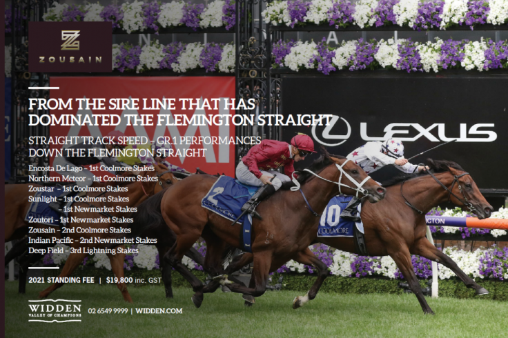 Zousain - Widden Stud